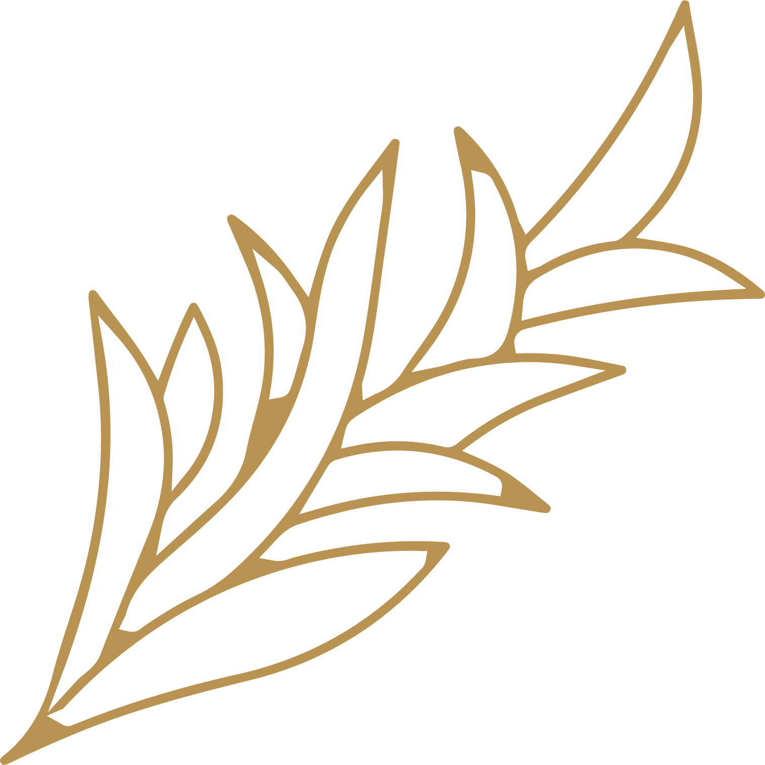 Immune Bio Green Cell - Immune System Support* - Incluye 2 Botellas ...