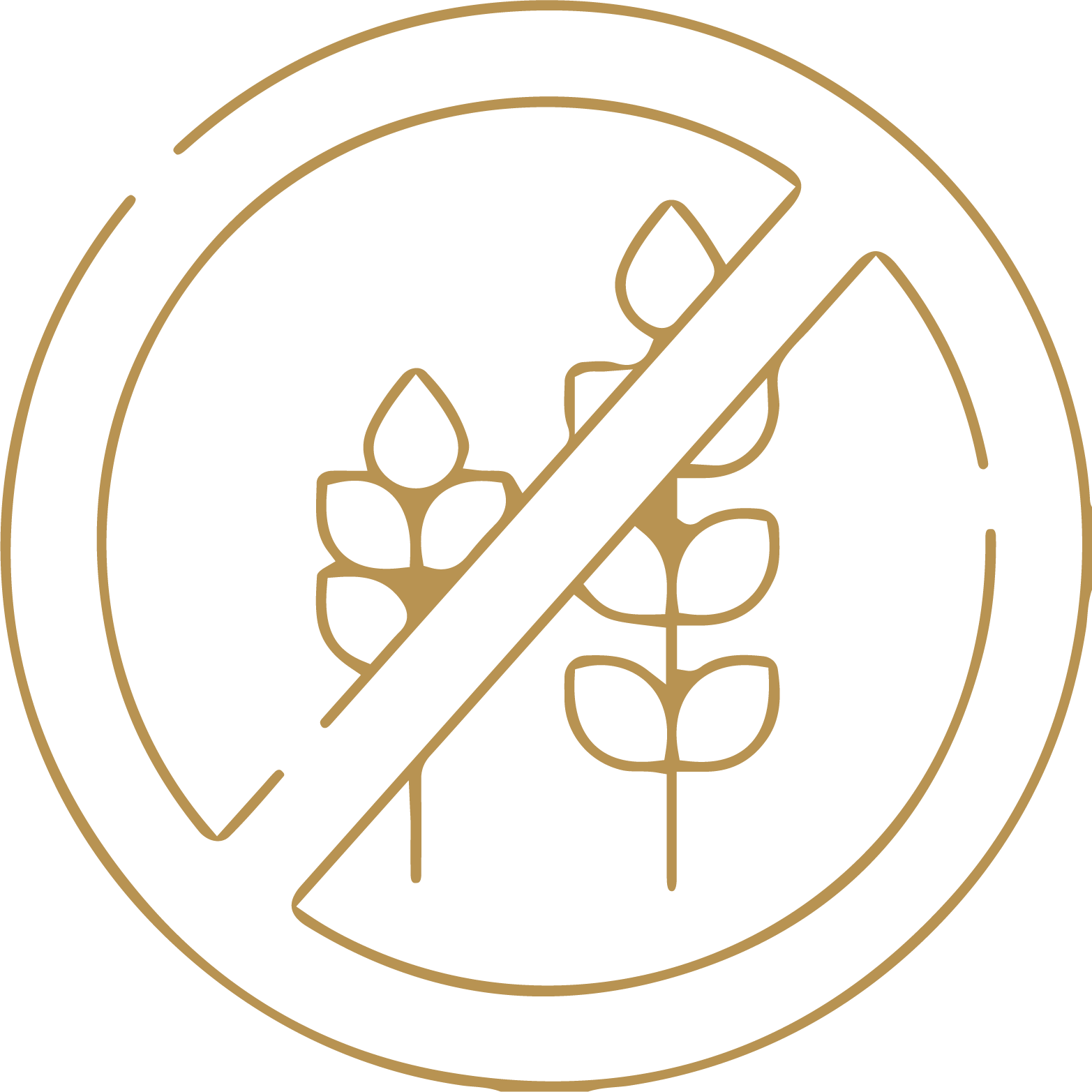 Immune Bio Green Cell - Immune System Support* - Incluye 2 Botellas ...